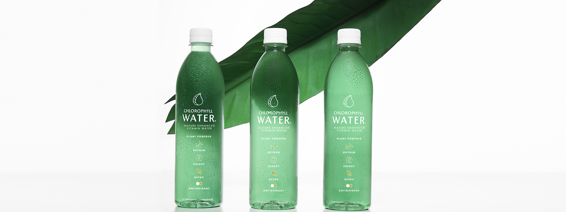 Chlorophyll Water is Fresh, Delicious, Innovative and More